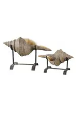Conch Shell Sculpture, 2/Set, Matte Black, 12"H (19556 Ram7) by...