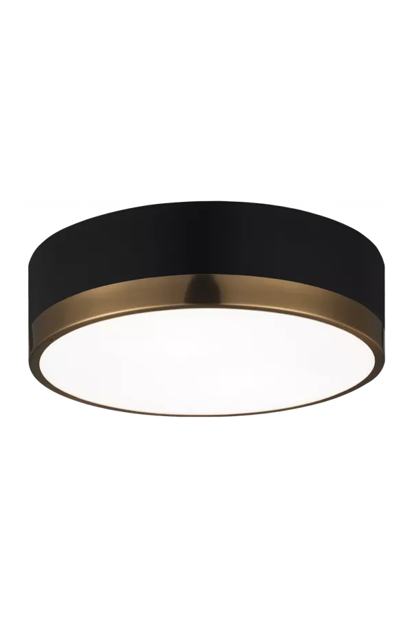 Trydor Flush Mount, 2-Light, Black, 12"W (M14302Bkag 305Xm11) by...